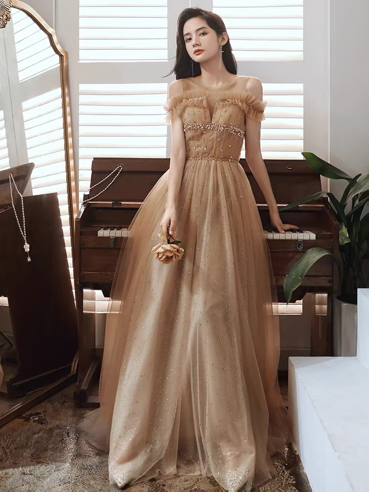 Sequin Evening Dresses, Champagne Birthday Dresses, Elegant Socialite ...